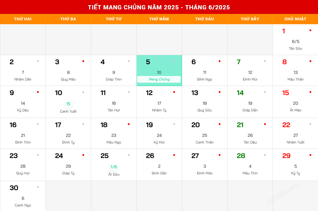 Mang Chủng 2025 vào ngày nào âm lịch và dương lịch